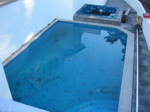 Poolstar Malmö - Pooler i fri form